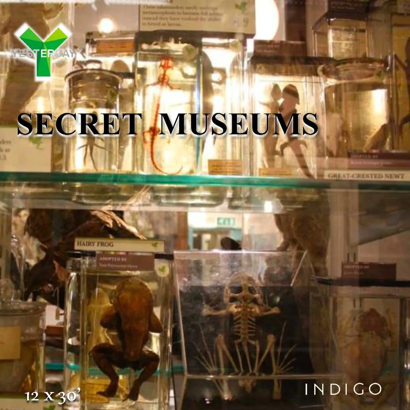 Programming — Indigo Entertainment