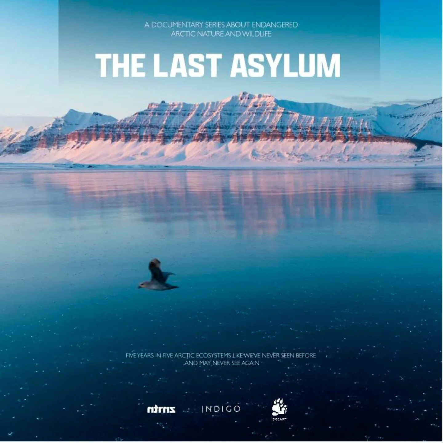 Programming — Indigo Entertainment