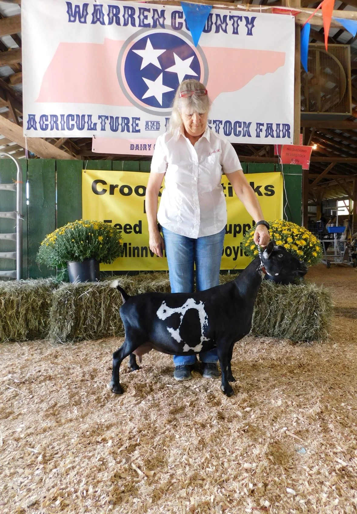 SGCH Cedar View Paola 5*M — Cedar View Nigerian Dwarf Goats and ...