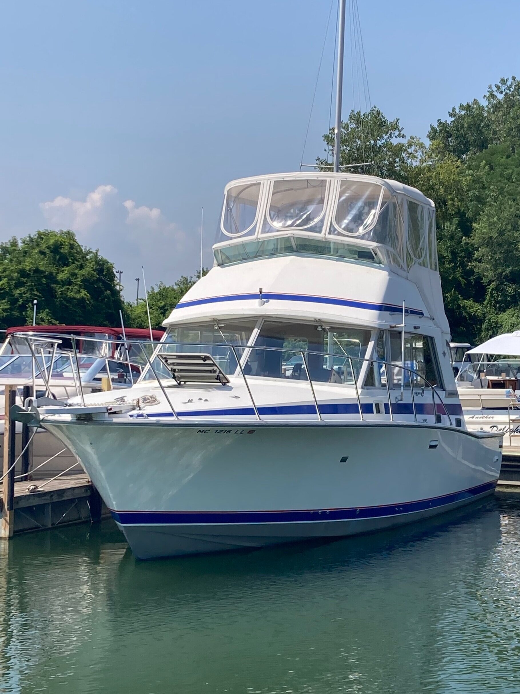 The Ships — Detroit Sails