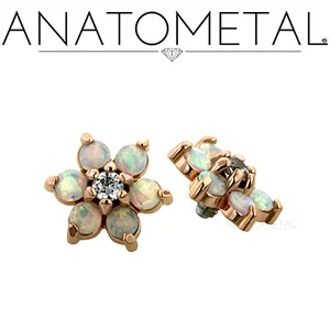 Jewelry — Velvet Elvis Professional Body Piercing