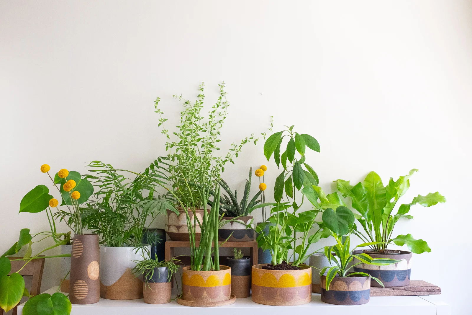 Ana cho ceramics - handmade in Los Angeles