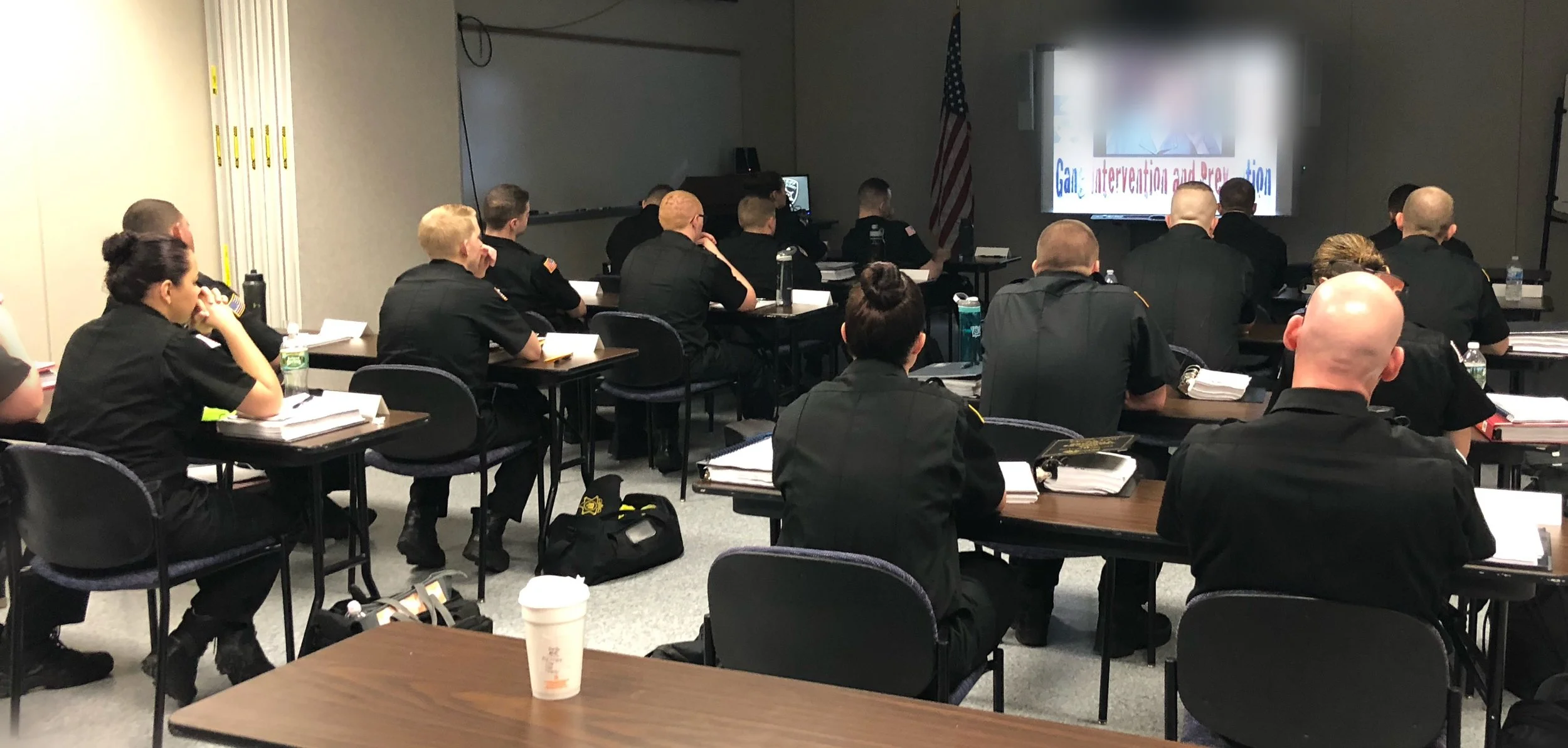 NYS Gang Prevention and Intervention