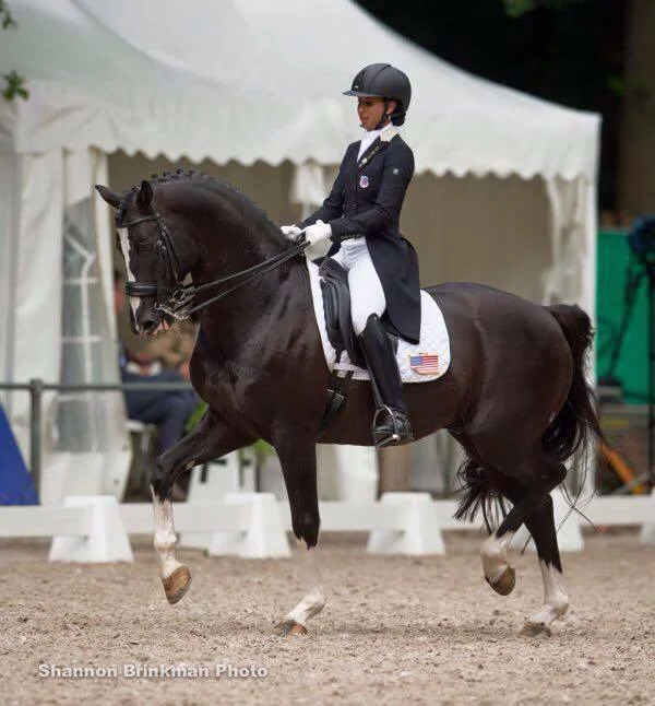 Genay — Starr Vaughn Equestrian