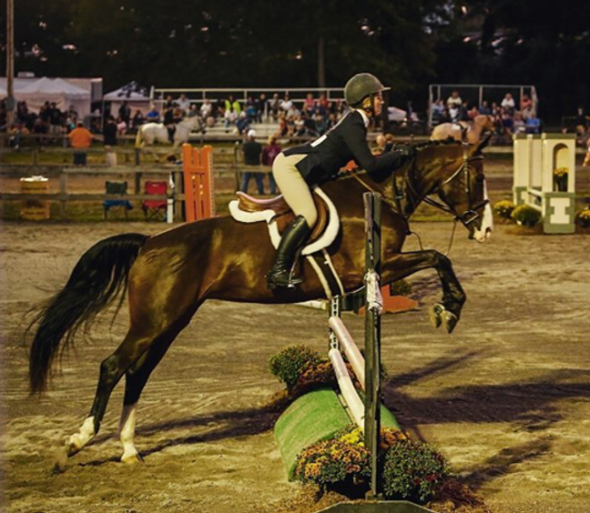 Donarweiss Offspring Continued Page 3 — Starr Vaughn Equestrian