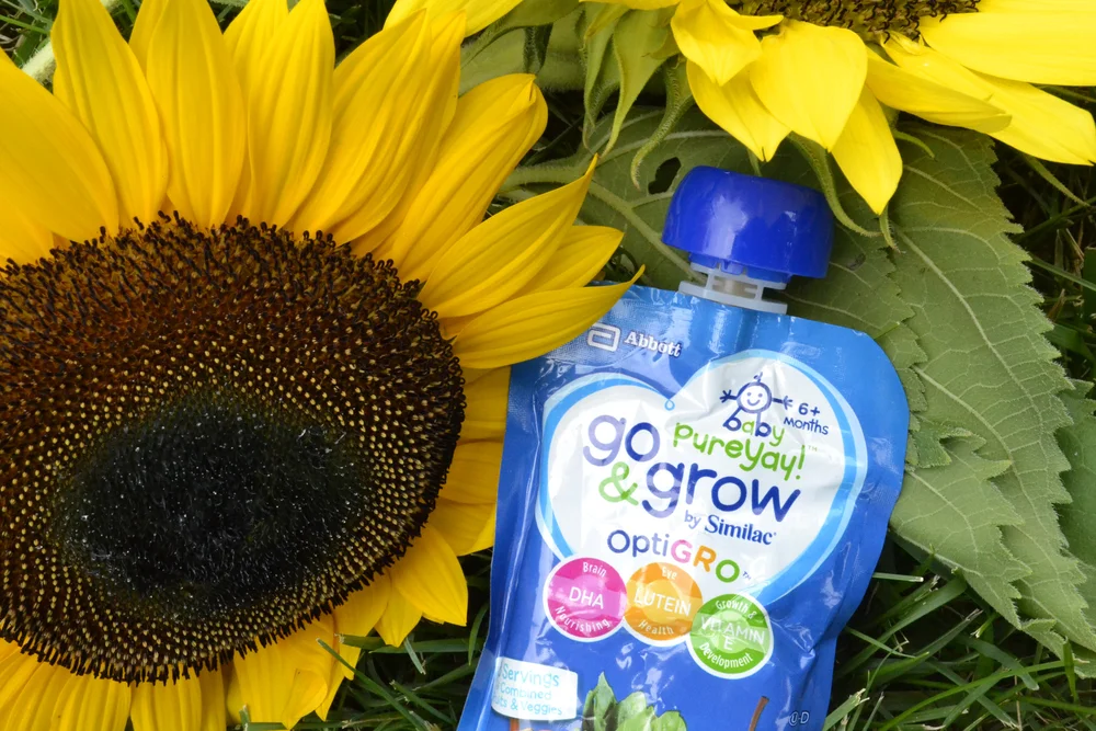 Go and Grow by Similac Pouches — Not A Rose Girl by Jamie Ng Rose