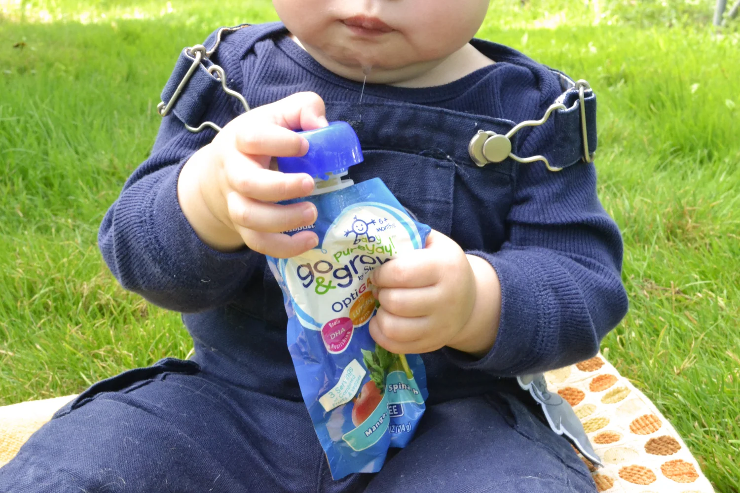 Go and Grow by Similac Pouches — Not A Rose Girl by Jamie Ng Rose