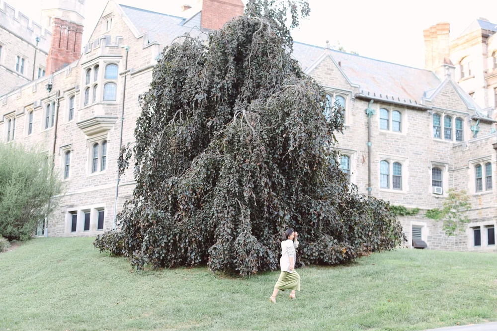 Most Instagrammable Spots Around Princeton University — Not A Rose Girl ...