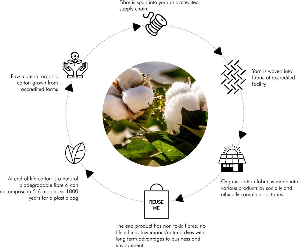 ORGANIC COTTON LIFECYCLE — Direct to Source