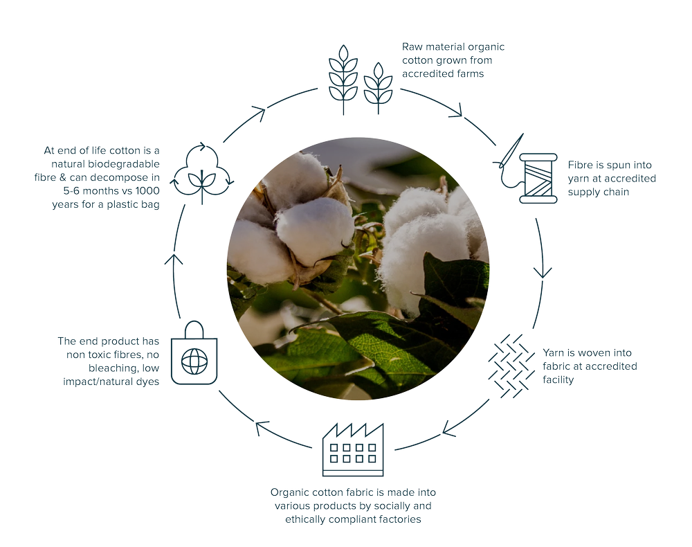 ORGANIC COTTON FABRIC — Direct to Source