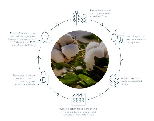 ORGANIC COTTON FABRIC — Direct to Source