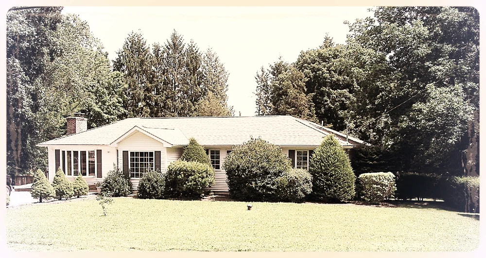 Programs — GIL Foundation