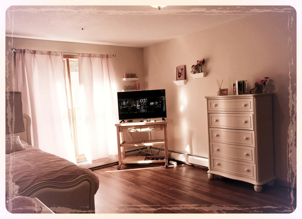 Programs — GIL Foundation