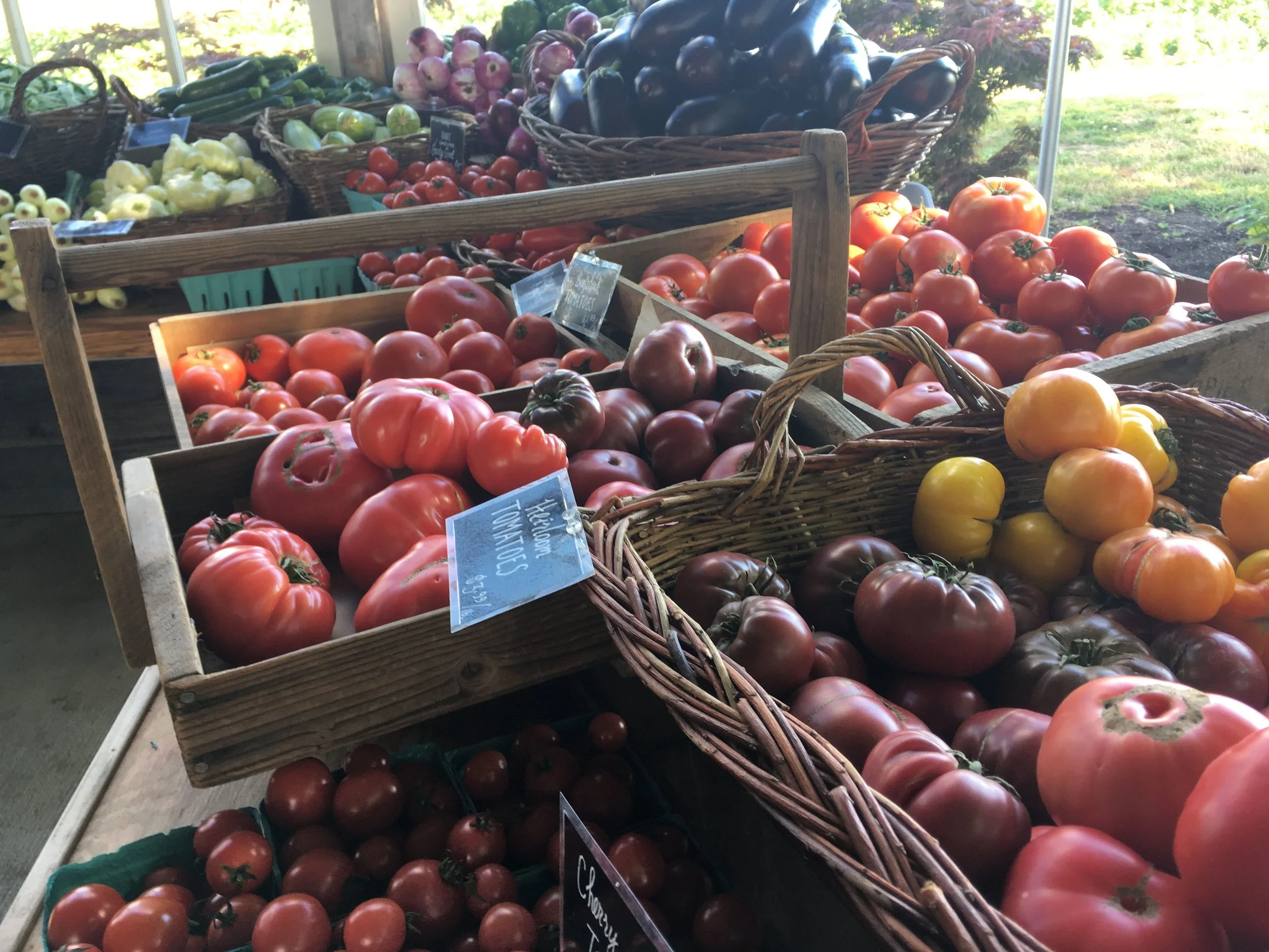 Farm Stand — Groundwork Organics