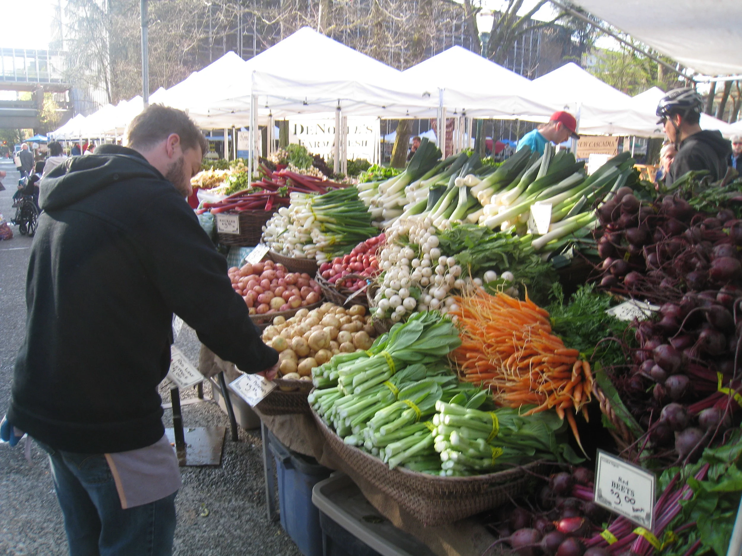 gallery — Groundwork Organics