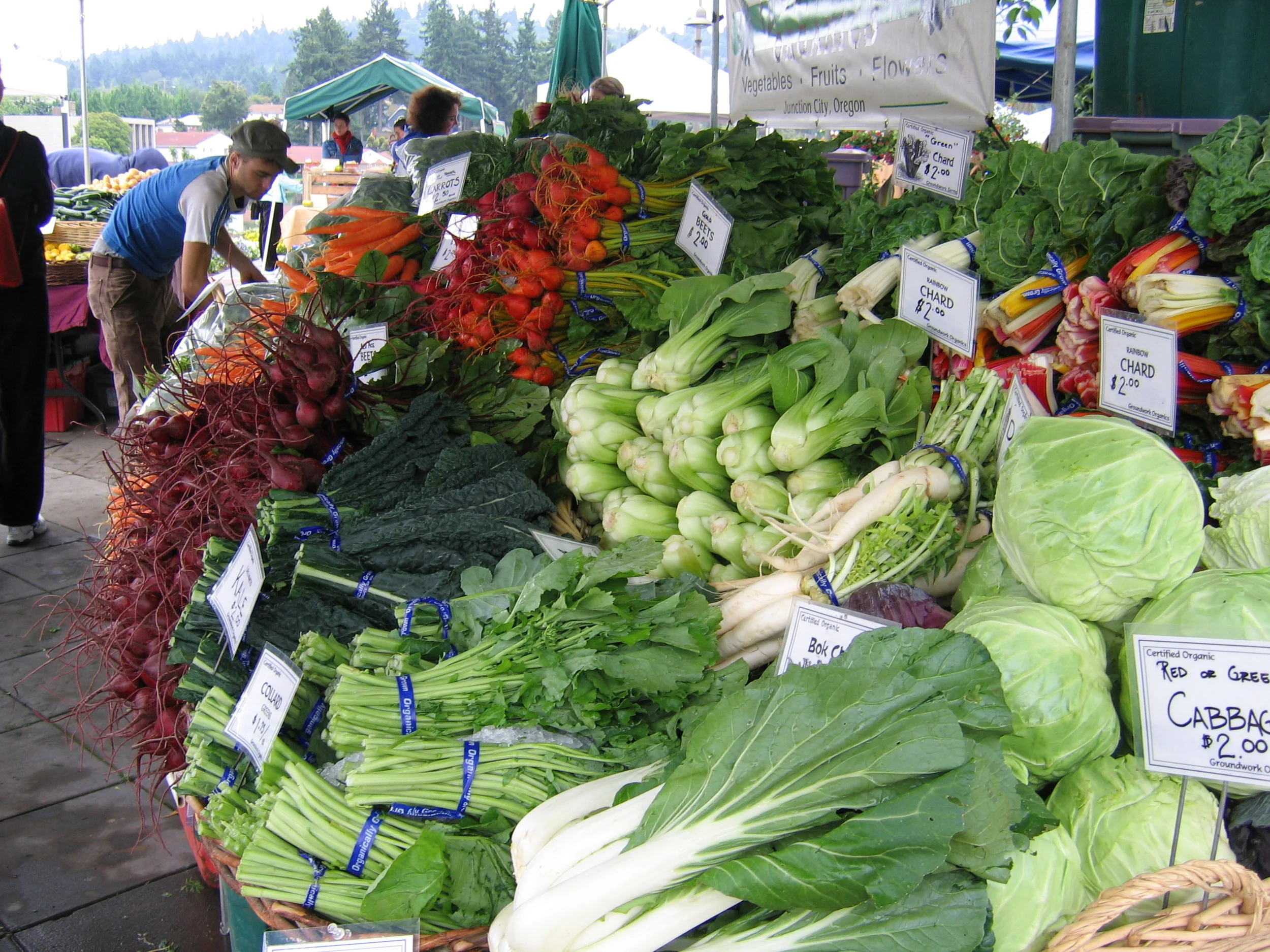gallery — Groundwork Organics
