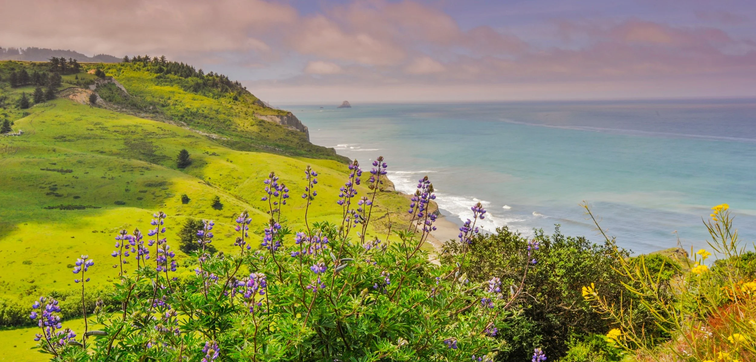 Lost Coast Headlands Update: Guthrie Creek, Centerville Road Open ...