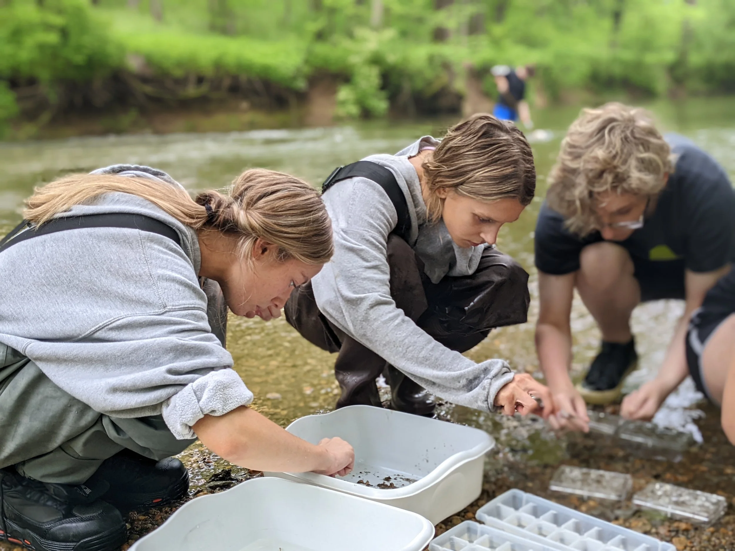 The Stone Independent School