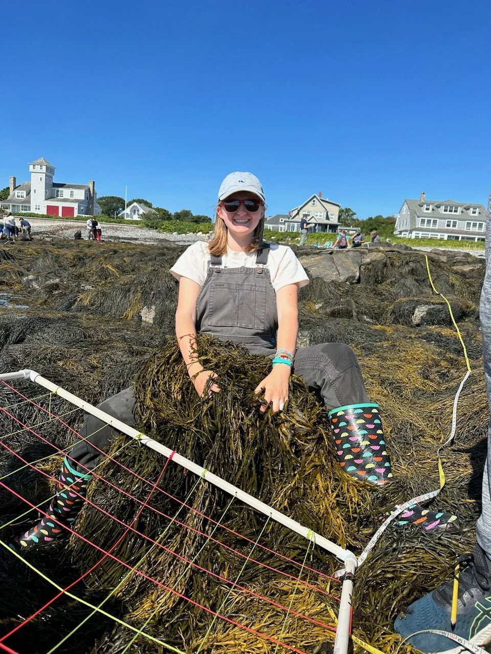 The Stone Independent School