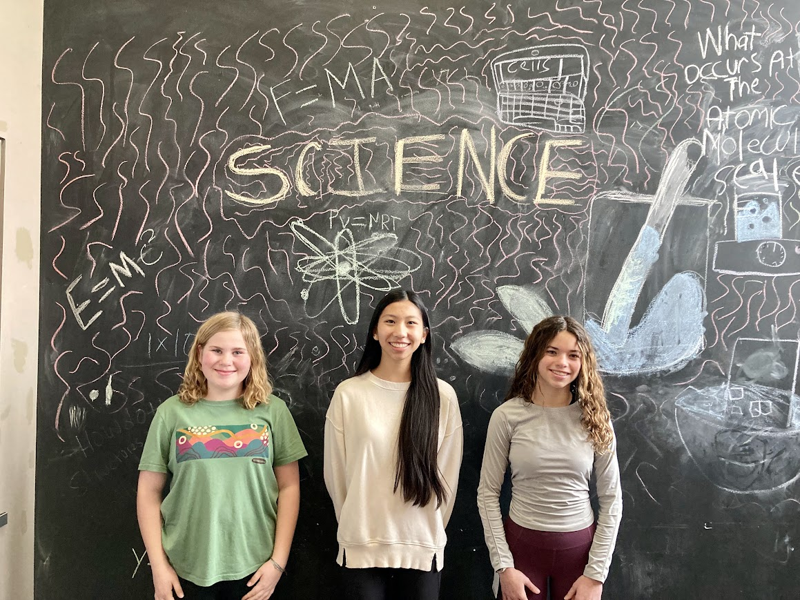 The Stone Independent School