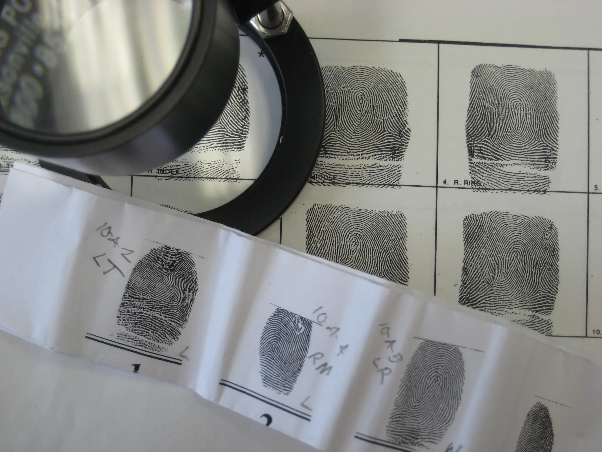 Forensic Science — Jennifer Graeser Dornbush