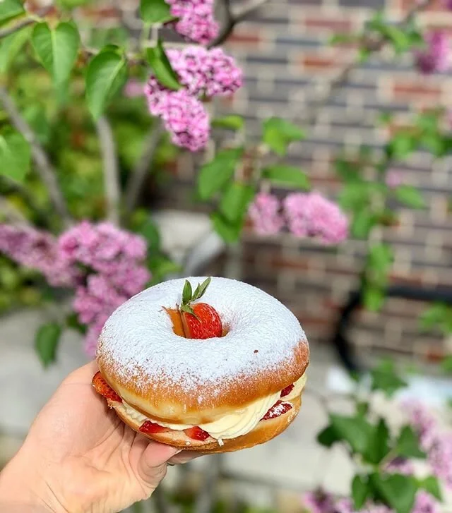 Davis Square Donuts & Bagels