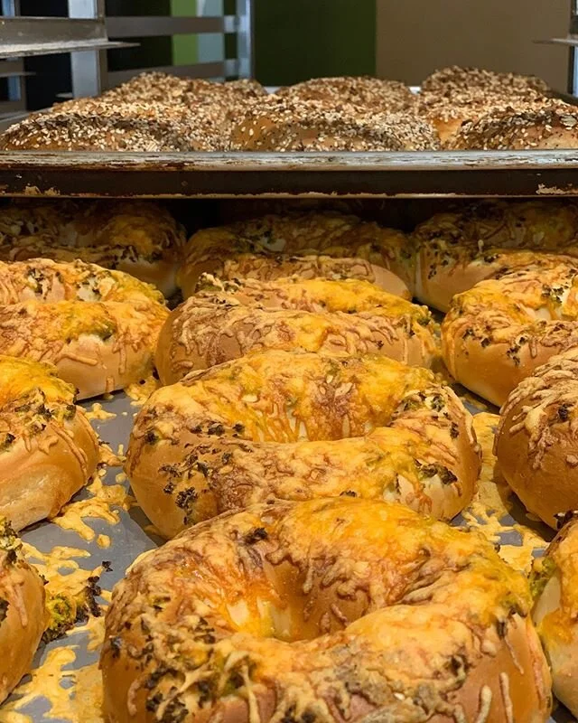 Davis Square Donuts & Bagels