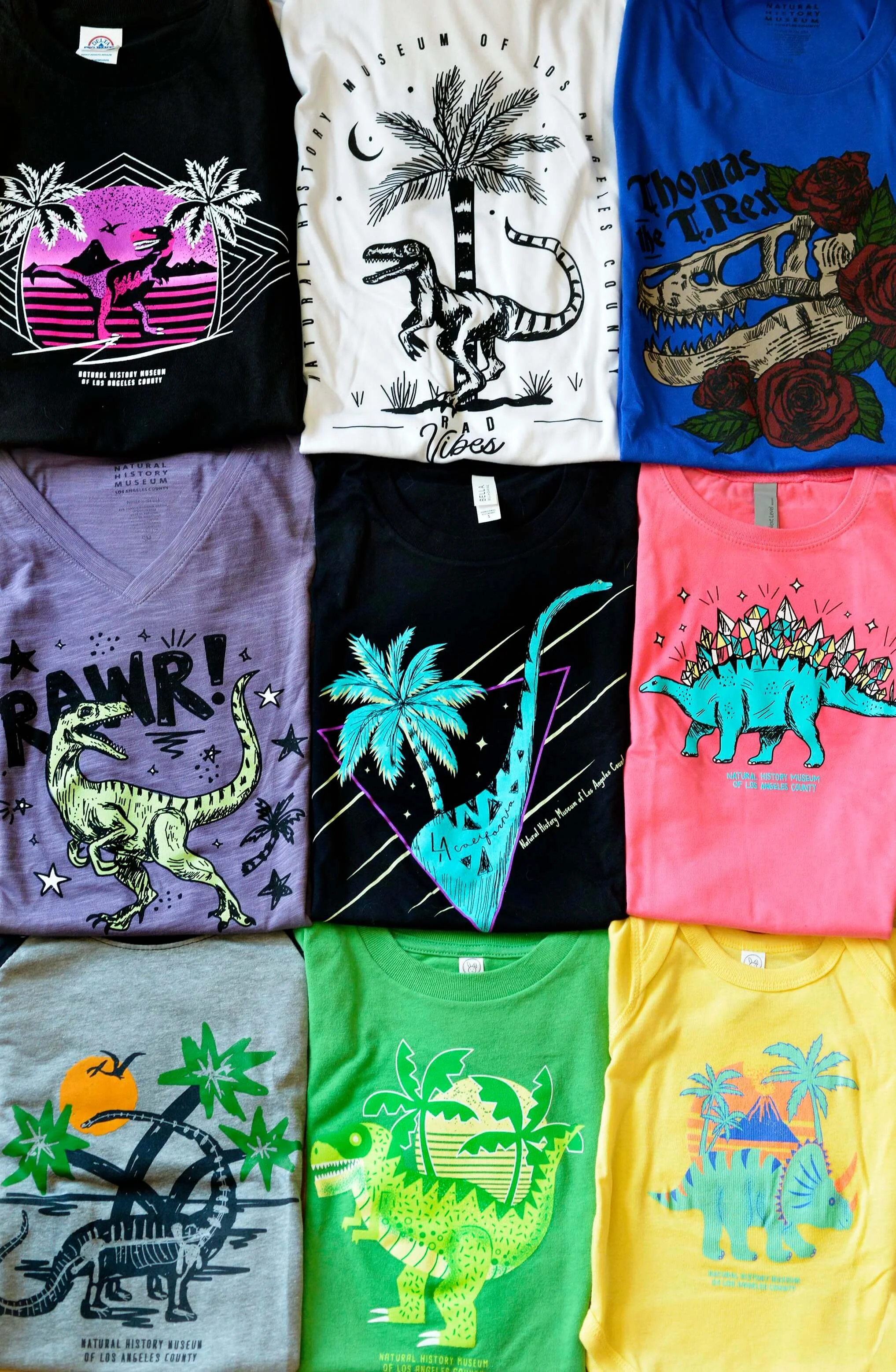 Dinos of NHMLA — Monica Hampton Design