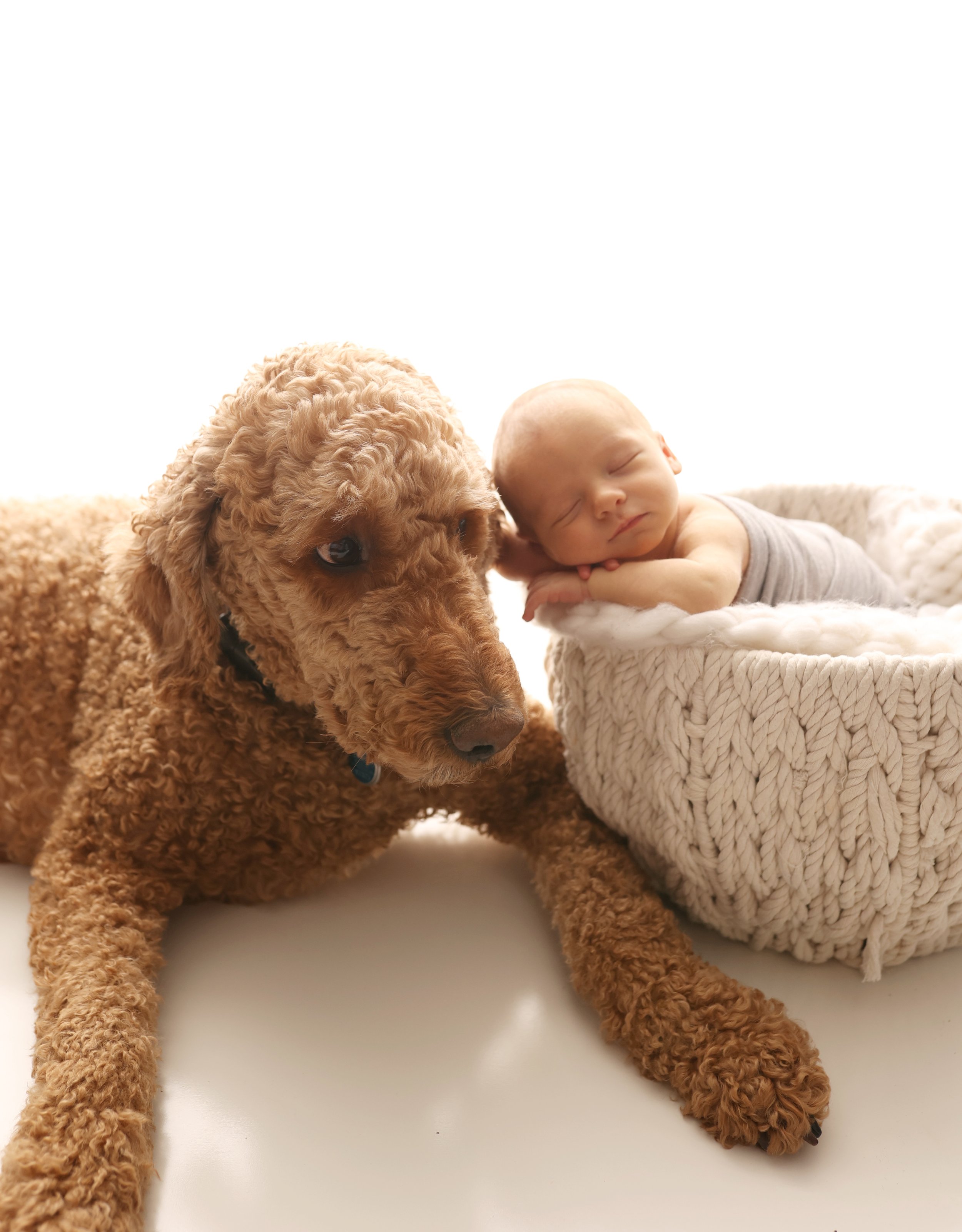 Jessica Stringer Photography