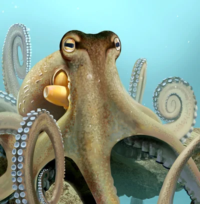 Natural History — Alex Ries Illustration