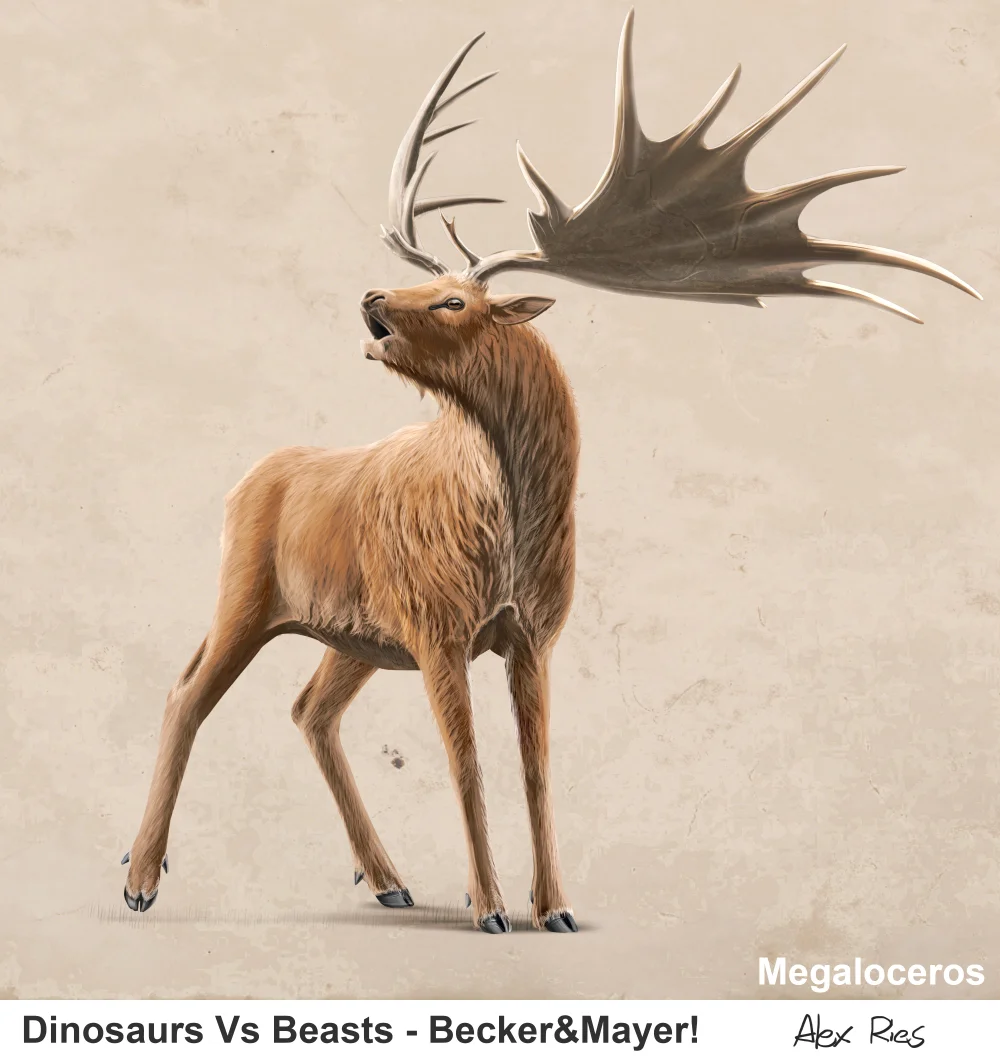 Natural History — Alex Ries Illustration