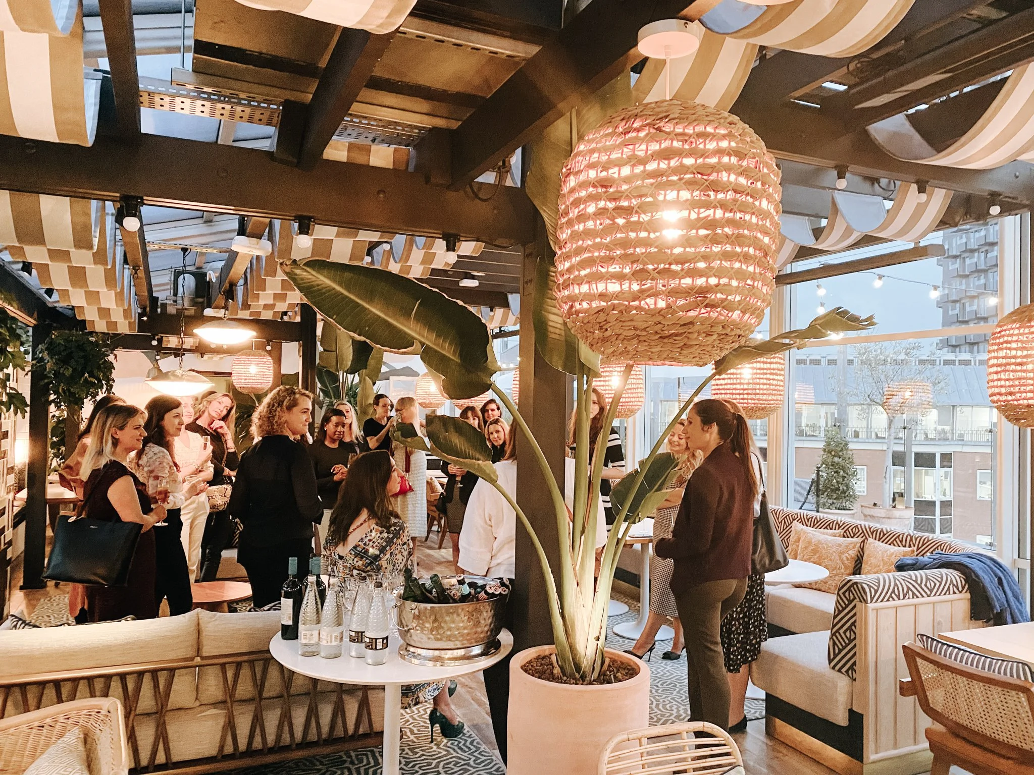 Preview — The Merit Club