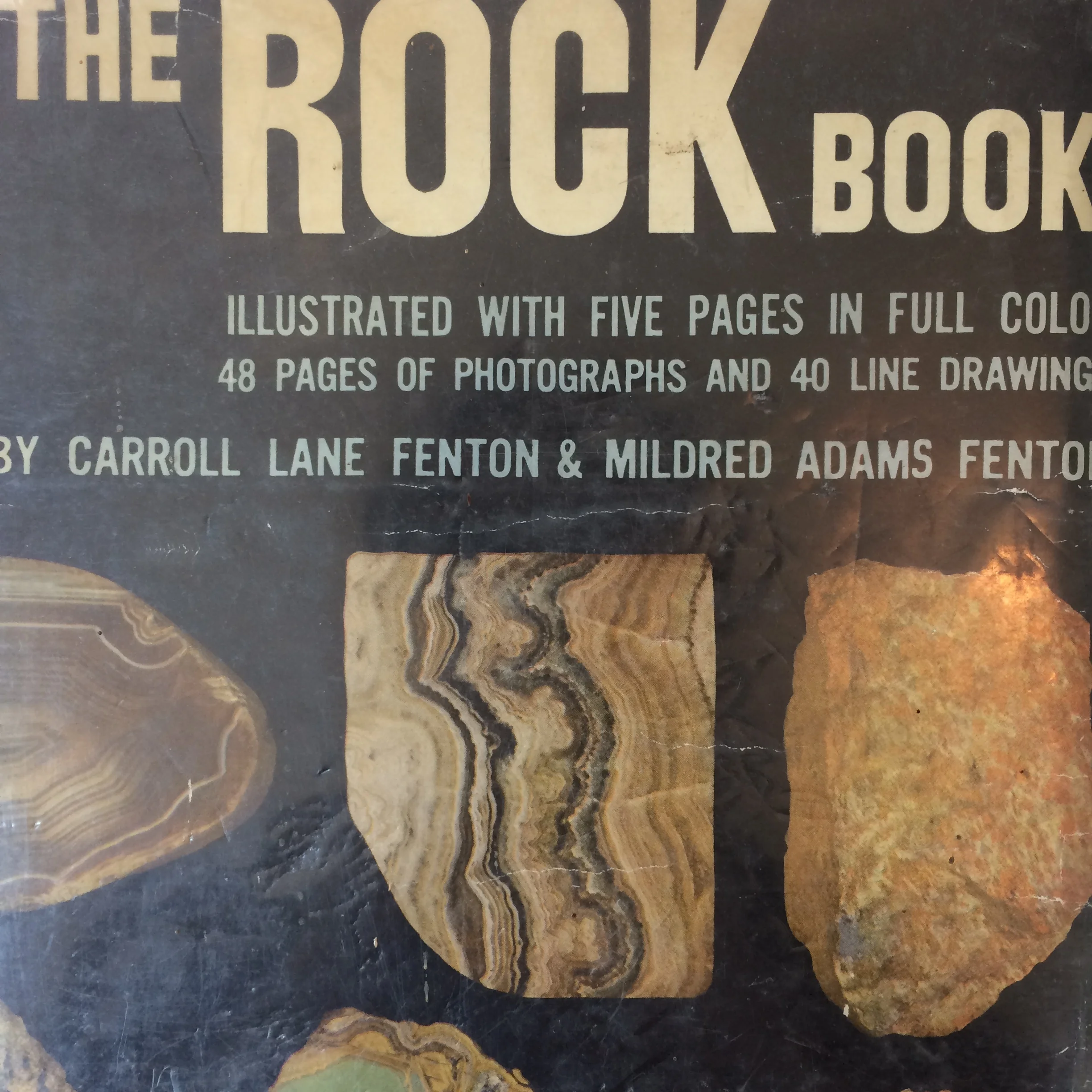 Poems in the Boundary Waters: Residency at Tofte Lake — ERIN DORNEY