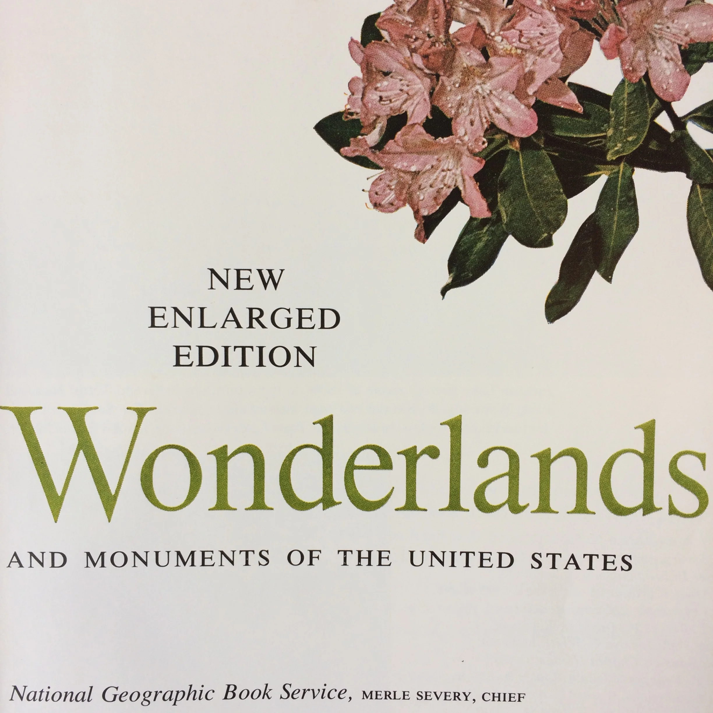 Poems in the Boundary Waters: Residency at Tofte Lake — ERIN DORNEY