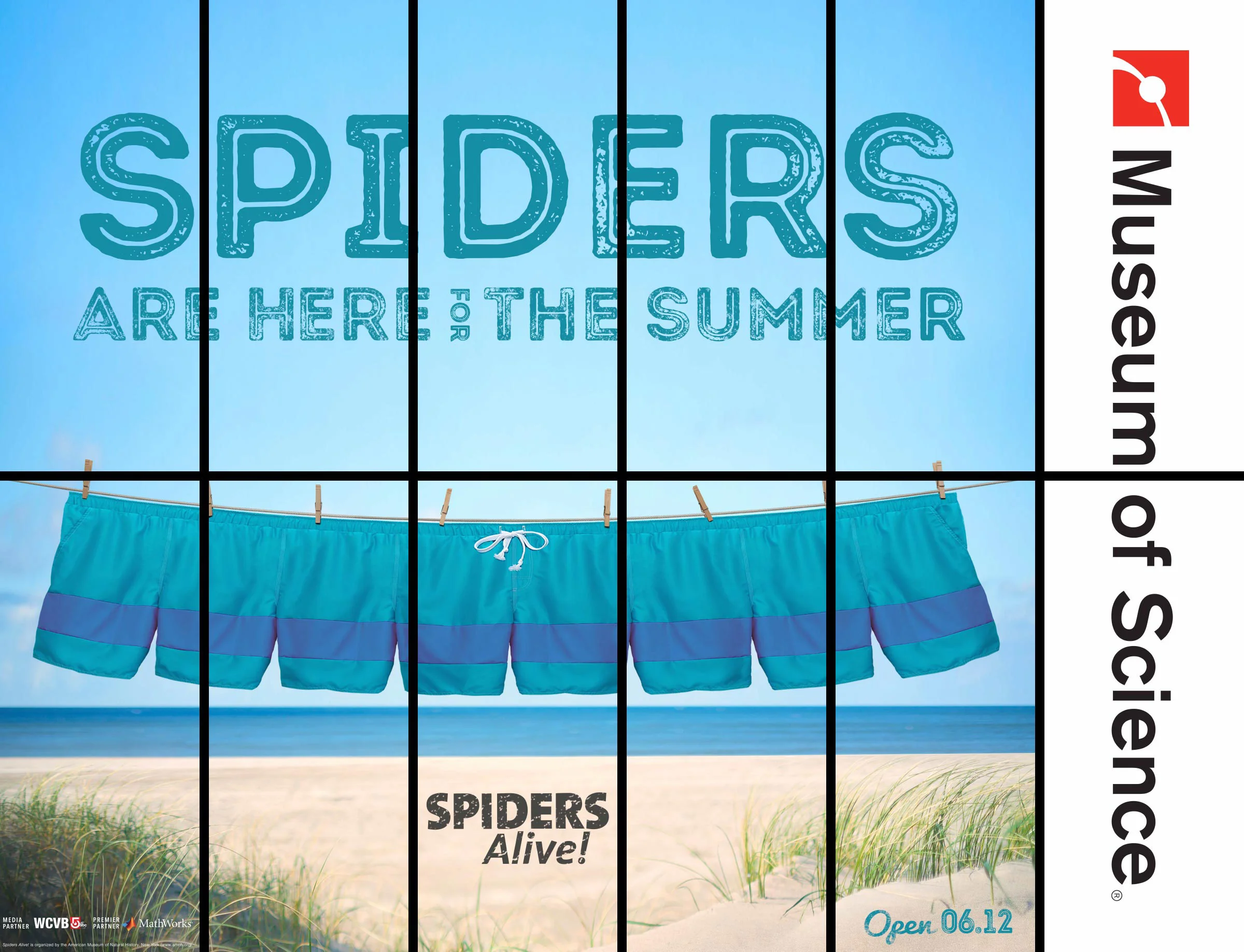 Spiders are Here..... — Commercial Advertising photographer John Holt ...