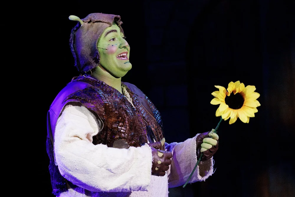 'You Got This:’ Inside the Moment Shrek Broke the Fourth Wall — The ...