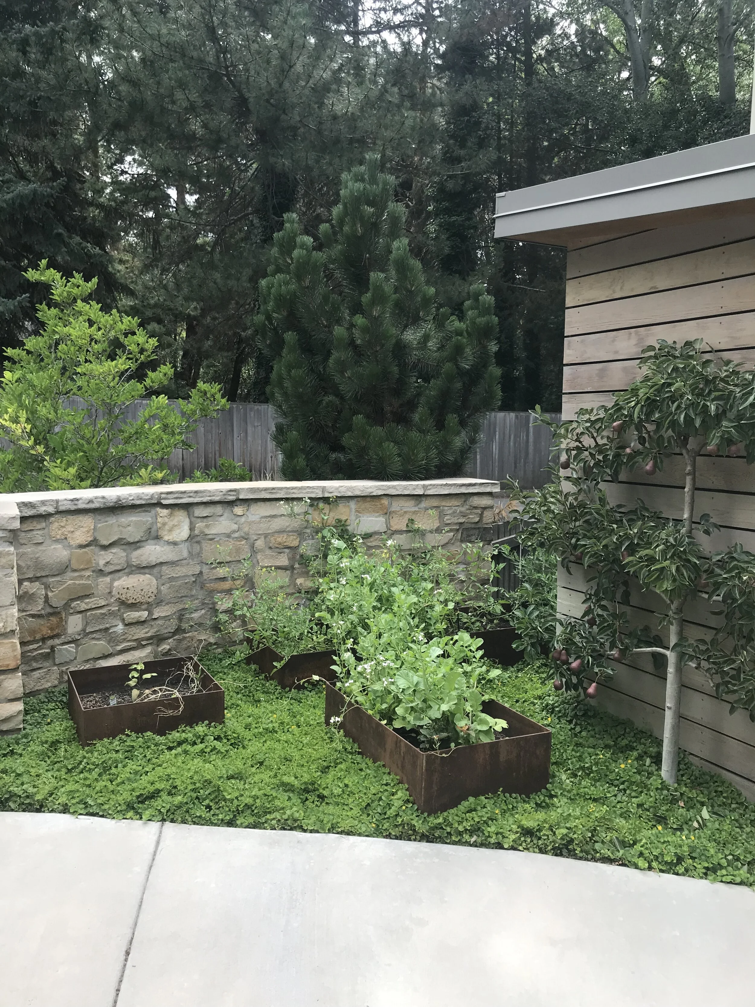 Dig Landscape Design