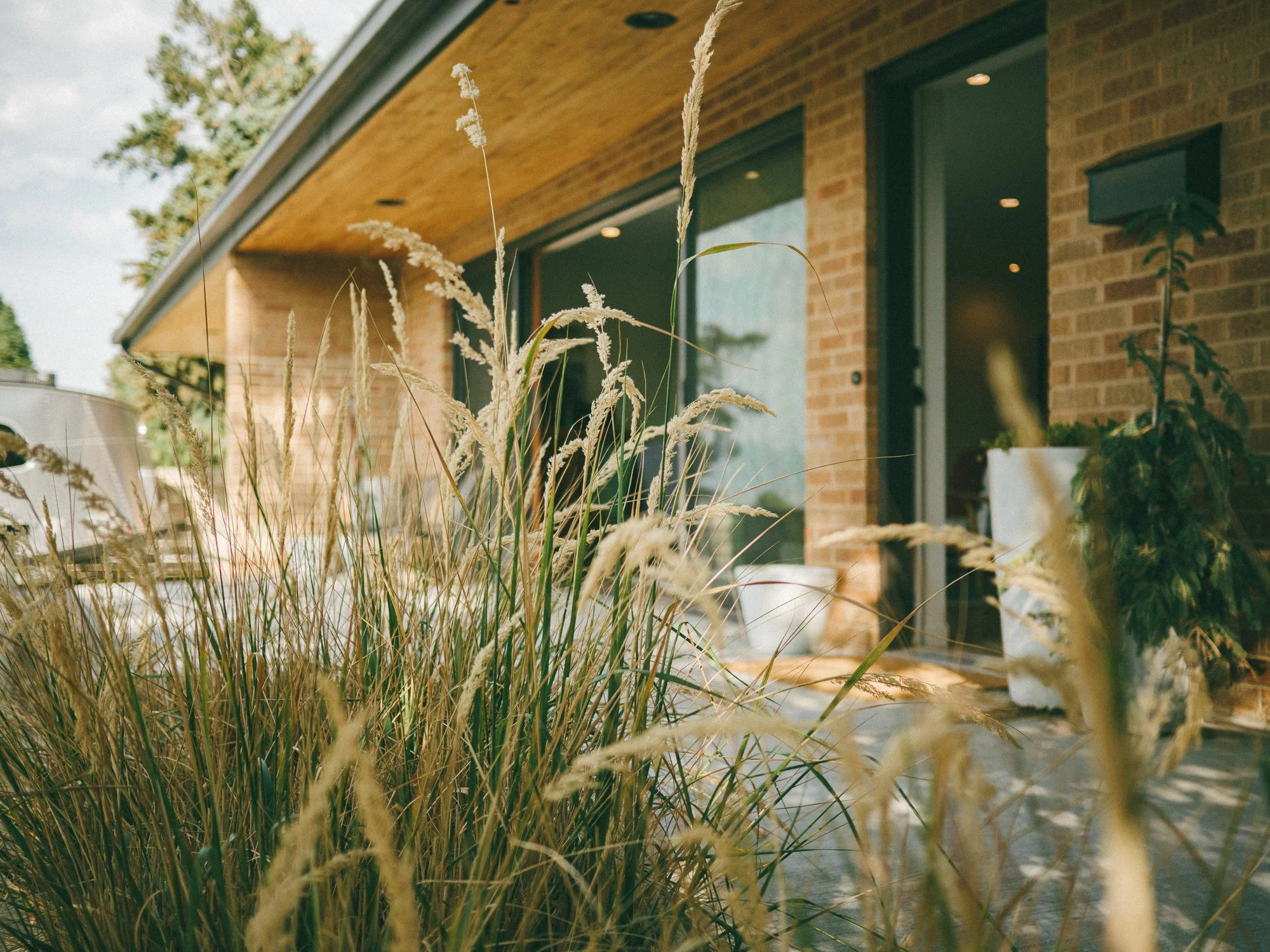 Portfolio — Dig Landscape Design