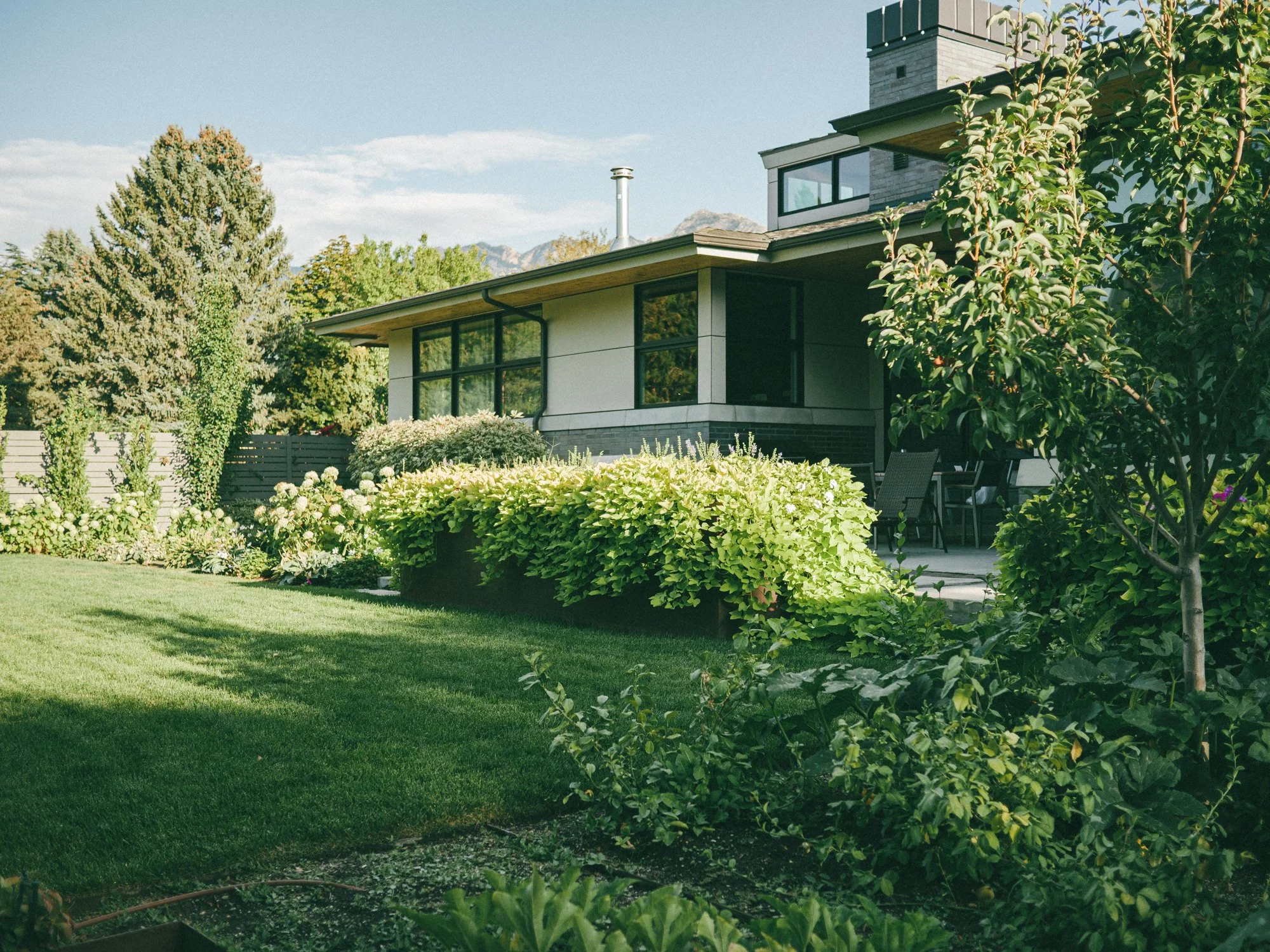 Portfolio — Dig Landscape Design