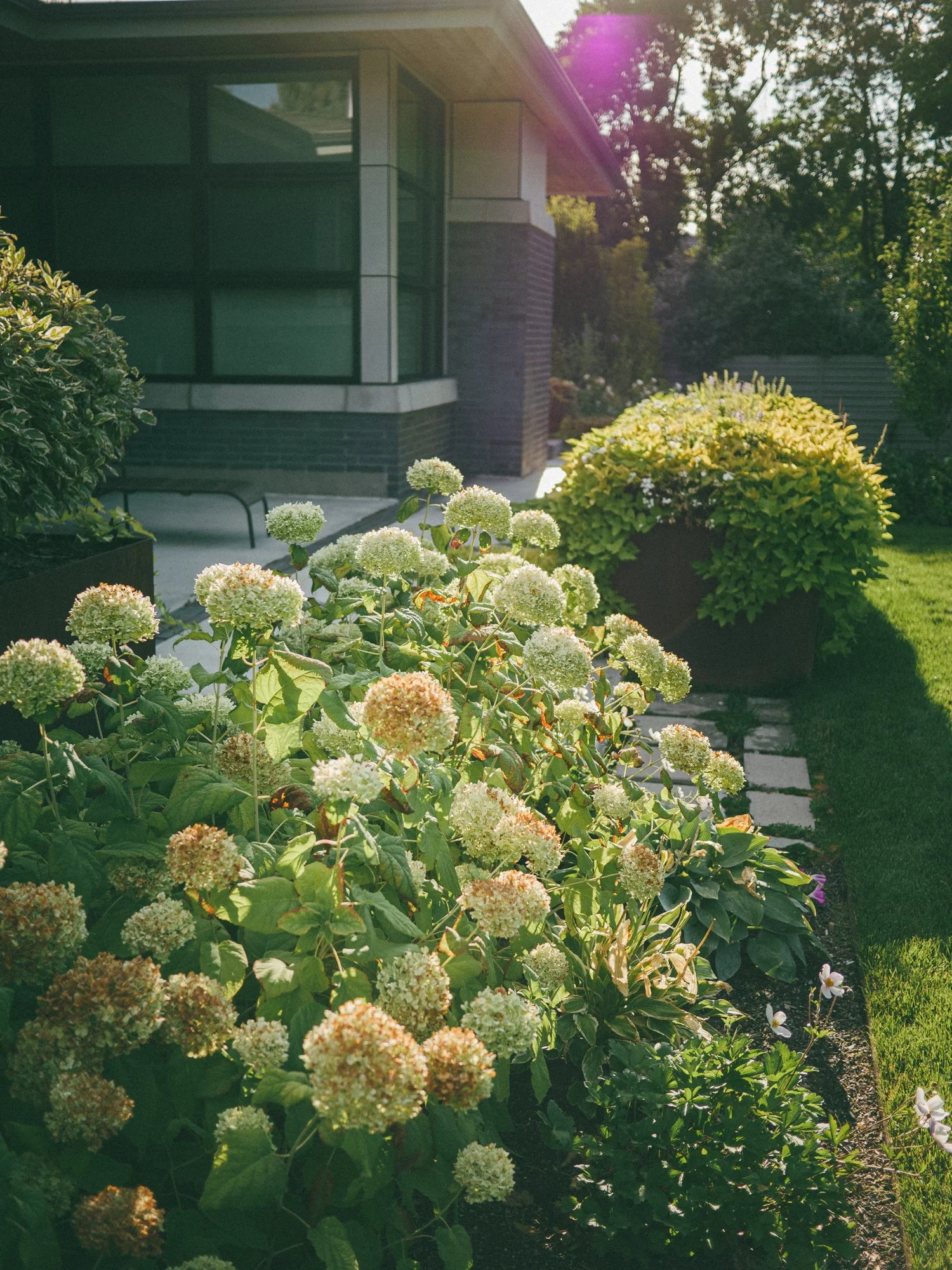 Portfolio — Dig Landscape Design