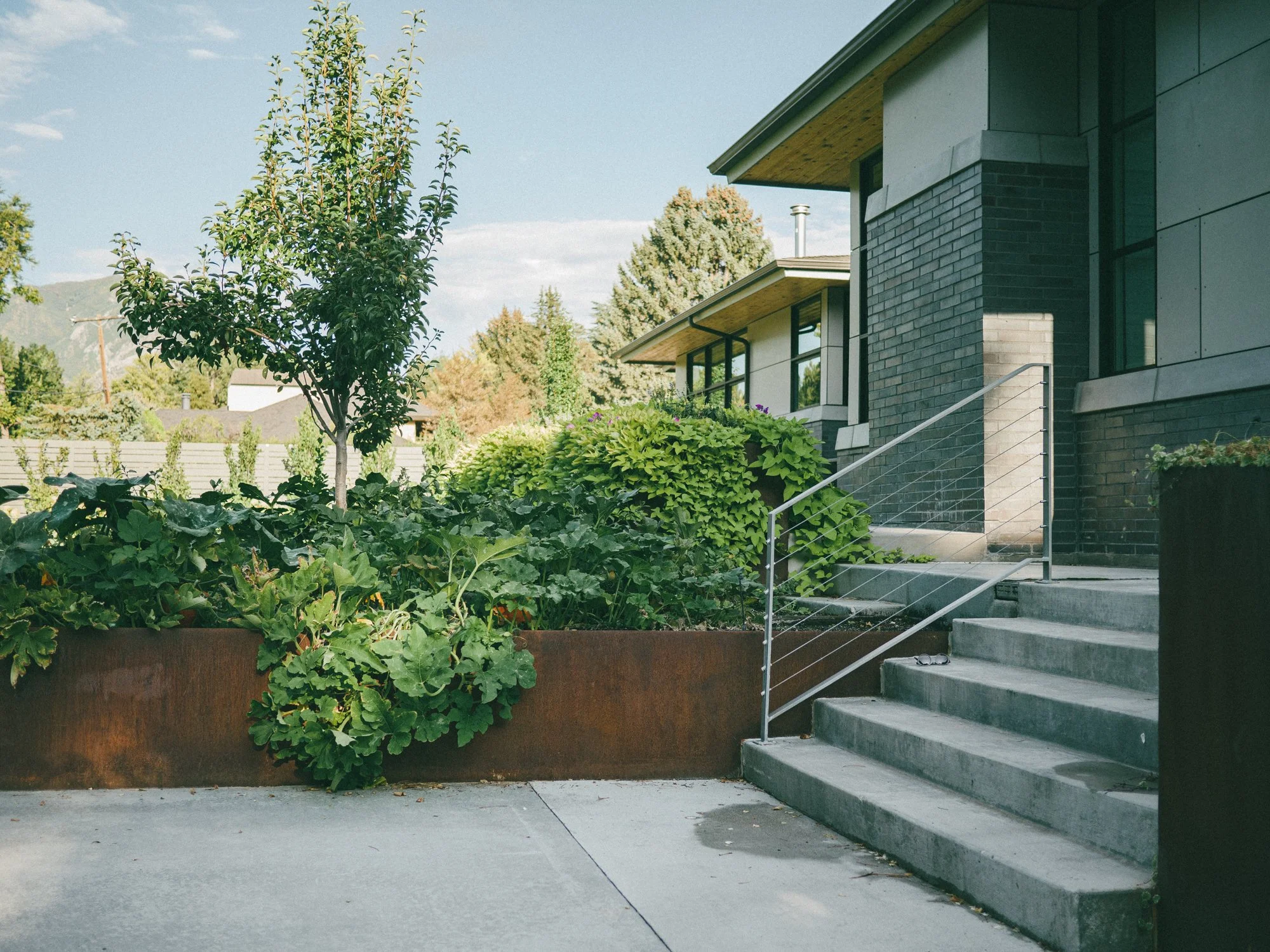 Portfolio — Dig Landscape Design