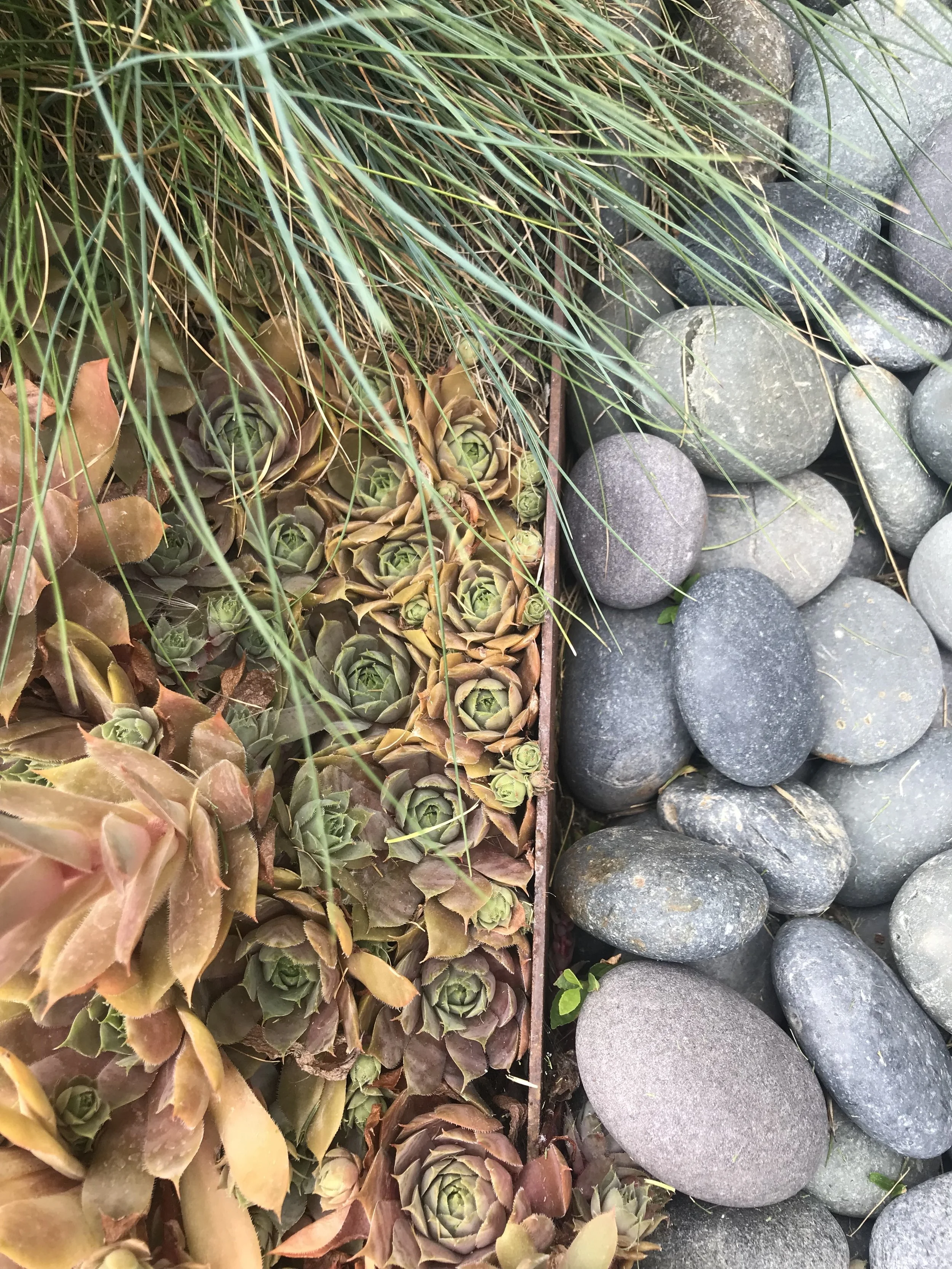 Portfolio — Dig Landscape Design