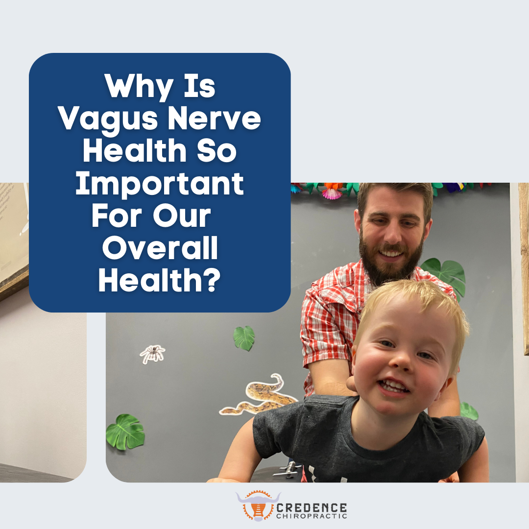 Why is Vagus Nerve Health So Important for Our Kids — Chiropractor ...