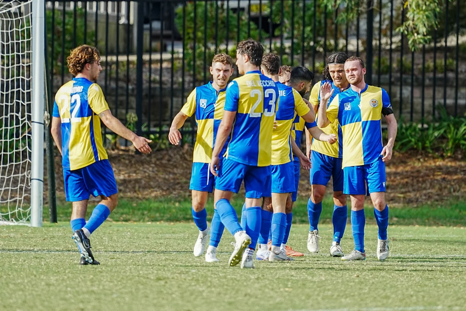 Senior All Age Soccer Teams — Sydney University Soccer Football Club