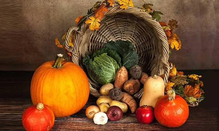 Garden Planning & Care — Deep Roots Project