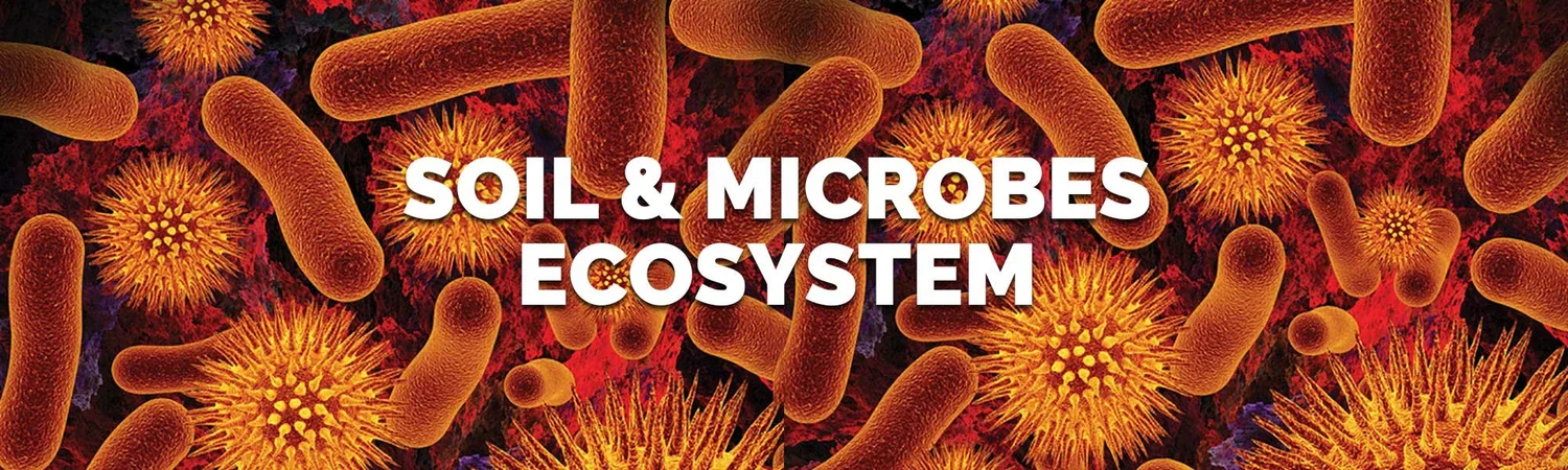 Healthy Soil & Microbes — Deep Roots Project