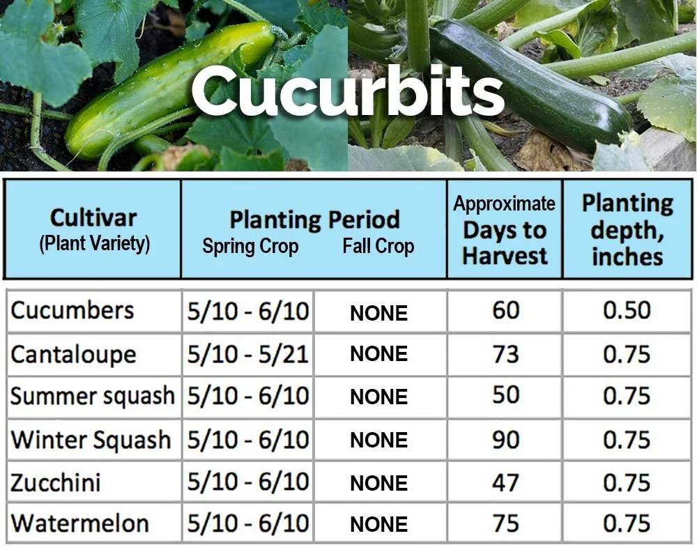 Planting Calendar Climate Zone 5b — Deep Roots Project