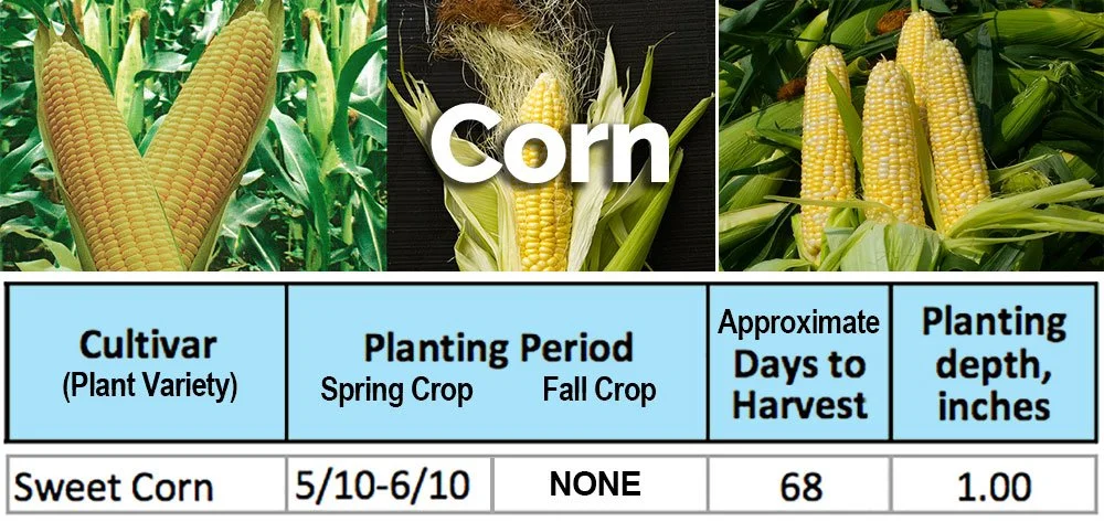 Planting Calendar Climate Zone 5b — Deep Roots Project