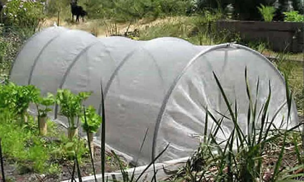 Season Extension — Deep Roots Project