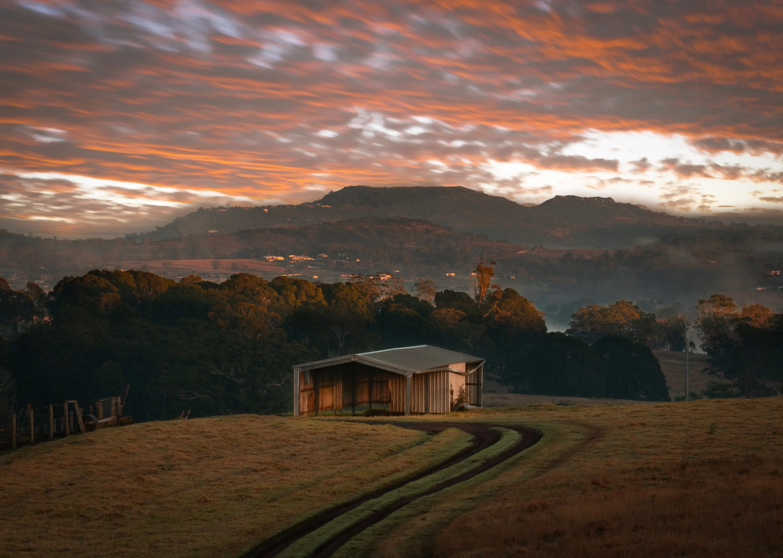 What's happening around town this March — The Field Guide